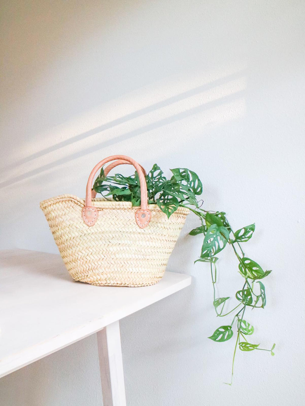 Eco-Friendly Lifestyle Shop – Purifyou